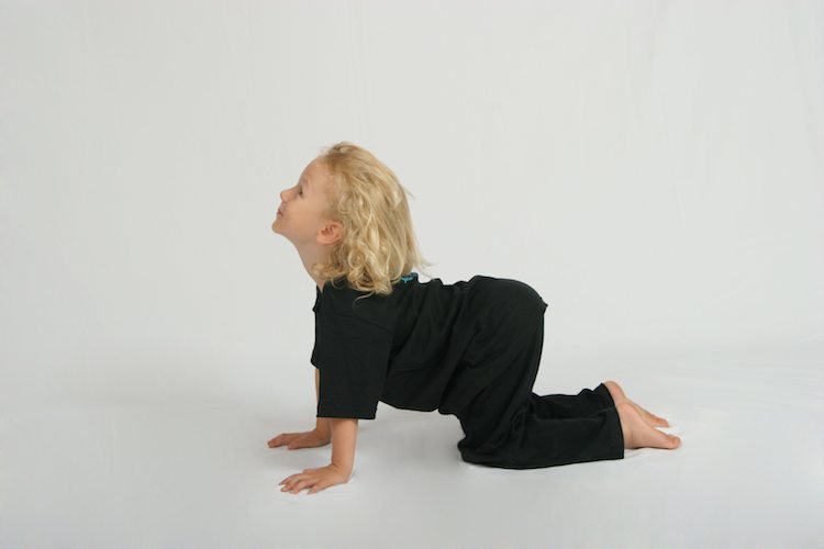 Vaca - Yogiños: Yoga for Youth®
